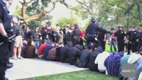 Police Pepper Spray Students at UC-Davis Protest - The Hollywood Gossip