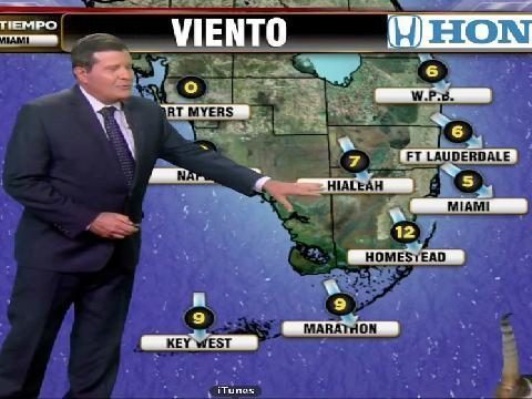 Univision Weather Cat Thinks He Owns the Place - The Hollywood Gossip