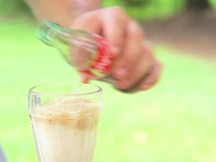 Rum and Coke Float Recipe - The Hollywood Gossip