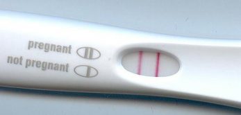 Women Sell Used Pregnancy Tests on Craigslist, Apocalypse Inches Ever ...