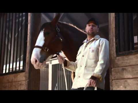 Budweiser Super Bowl Commercial: Even More Puppy Love! - The Hollywood ...