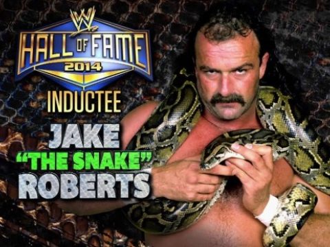Jake "The Snake" Roberts: Diagnosed with Cancer, Confident in Recovery ...