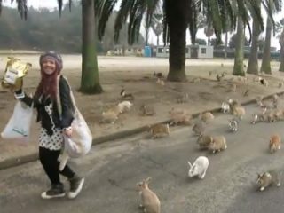 Rabbits SWARM Tourist on Japanese Island: Watch, Be Amazed Now! - The ...