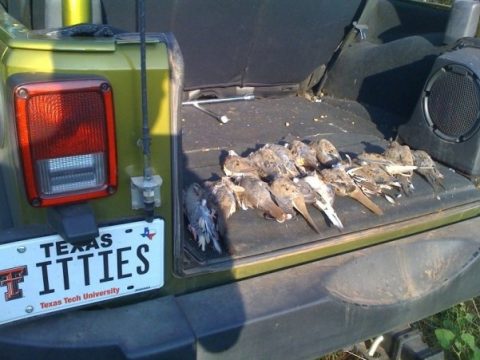 27 Hilariously Inappropriate License Plates - The Hollywood Gossip