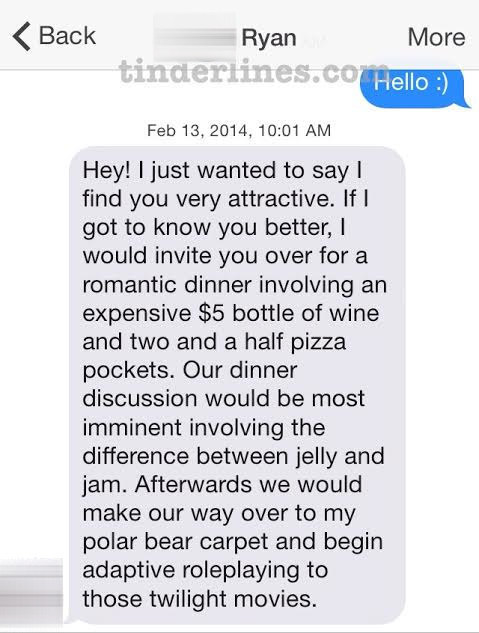 21 Best Tinder Messages Ever - The Hollywood Gossip