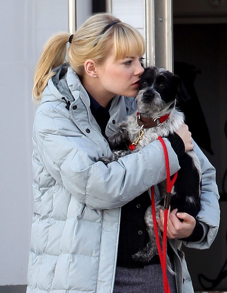 22 Celebrities Who Really Love Their Pets - The Hollywood Gossip
