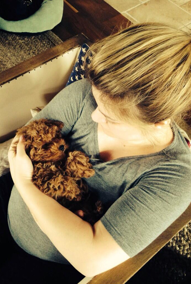 22 Celebrities Who Really Love Their Pets - The Hollywood Gossip