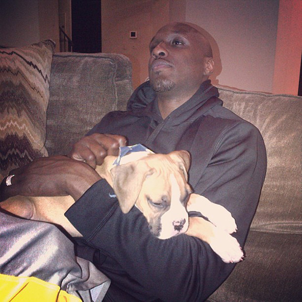 22 Celebrities Who Really Love Their Pets - The Hollywood Gossip