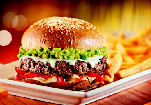 14 Weird Burgers You Have to Try - The Hollywood Gossip