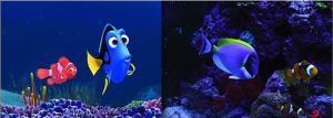 11 Disney Animals Found in Real Life - The Hollywood Gossip
