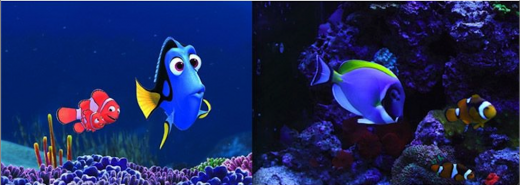 11 Disney Animals Found in Real Life - The Hollywood Gossip