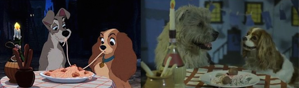 11 Disney Animals Found in Real Life - The Hollywood Gossip