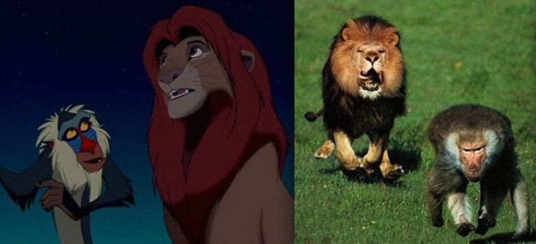 11 Disney Animals Found in Real Life - The Hollywood Gossip