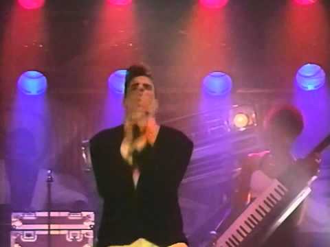 Vanilla Ice: Ninja Turtles Rap - The Hollywood Gossip