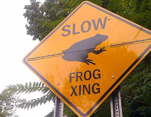 19 Confusing and Hilarious Traffic Signs - The Hollywood Gossip