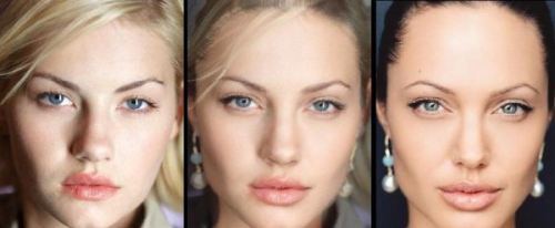 21 Celebrity Face Morphs - The Hollywood Gossip