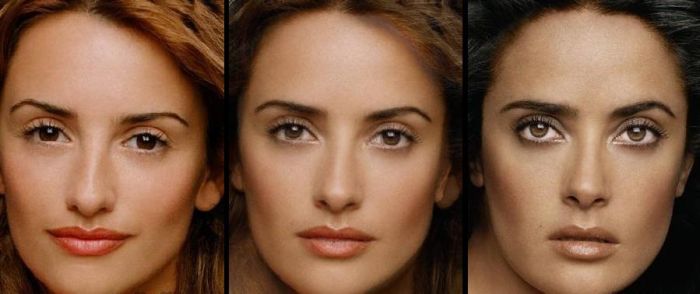 21 Celebrity Face Morphs - The Hollywood Gossip