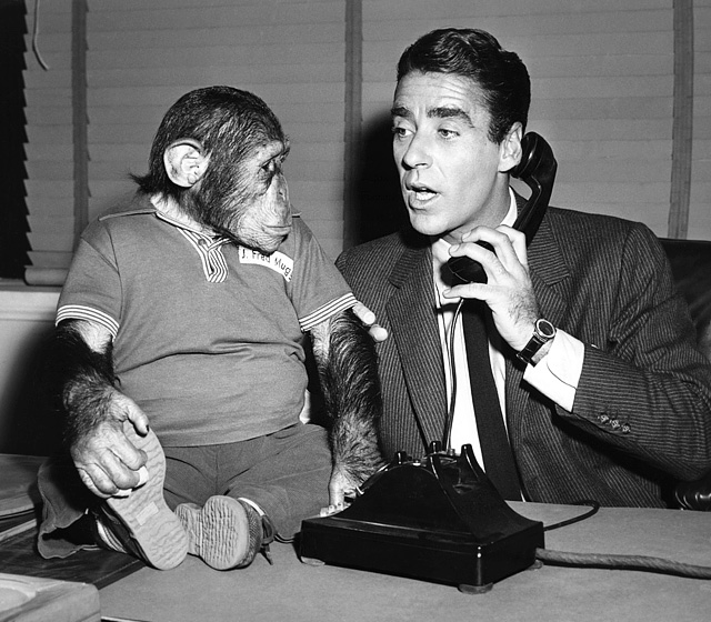 12 Top Today Show Moments - The Hollywood Gossip