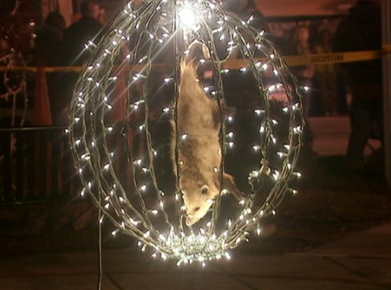 New Year's "Possum Drop" to Continue in N.C., But No Longer With Live ...