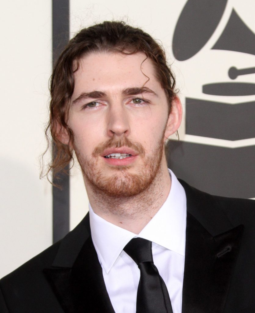 Hozier Photo - The Hollywood Gossip