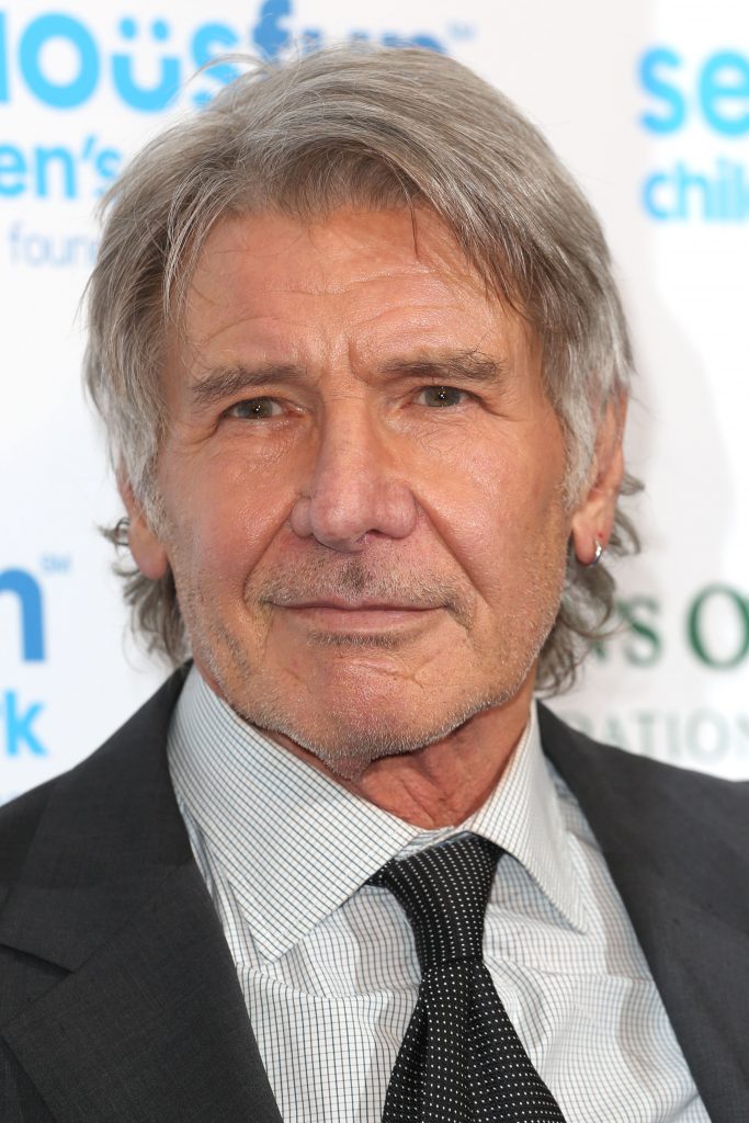 Harrison Ford on the Red Carpet - The Hollywood Gossip