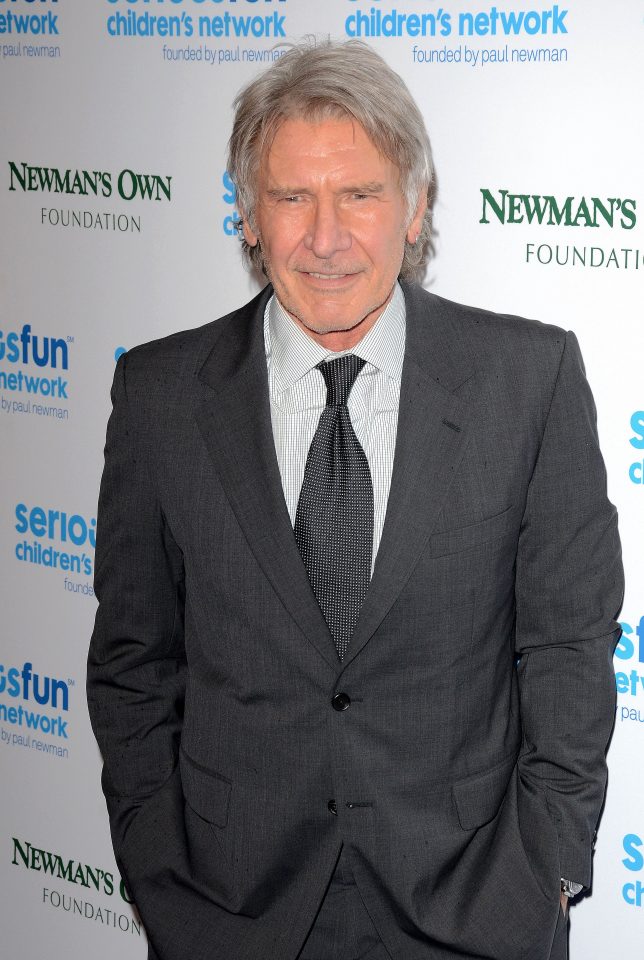 Harrison Ford Released From Hospital Following Recovery From Plane ...