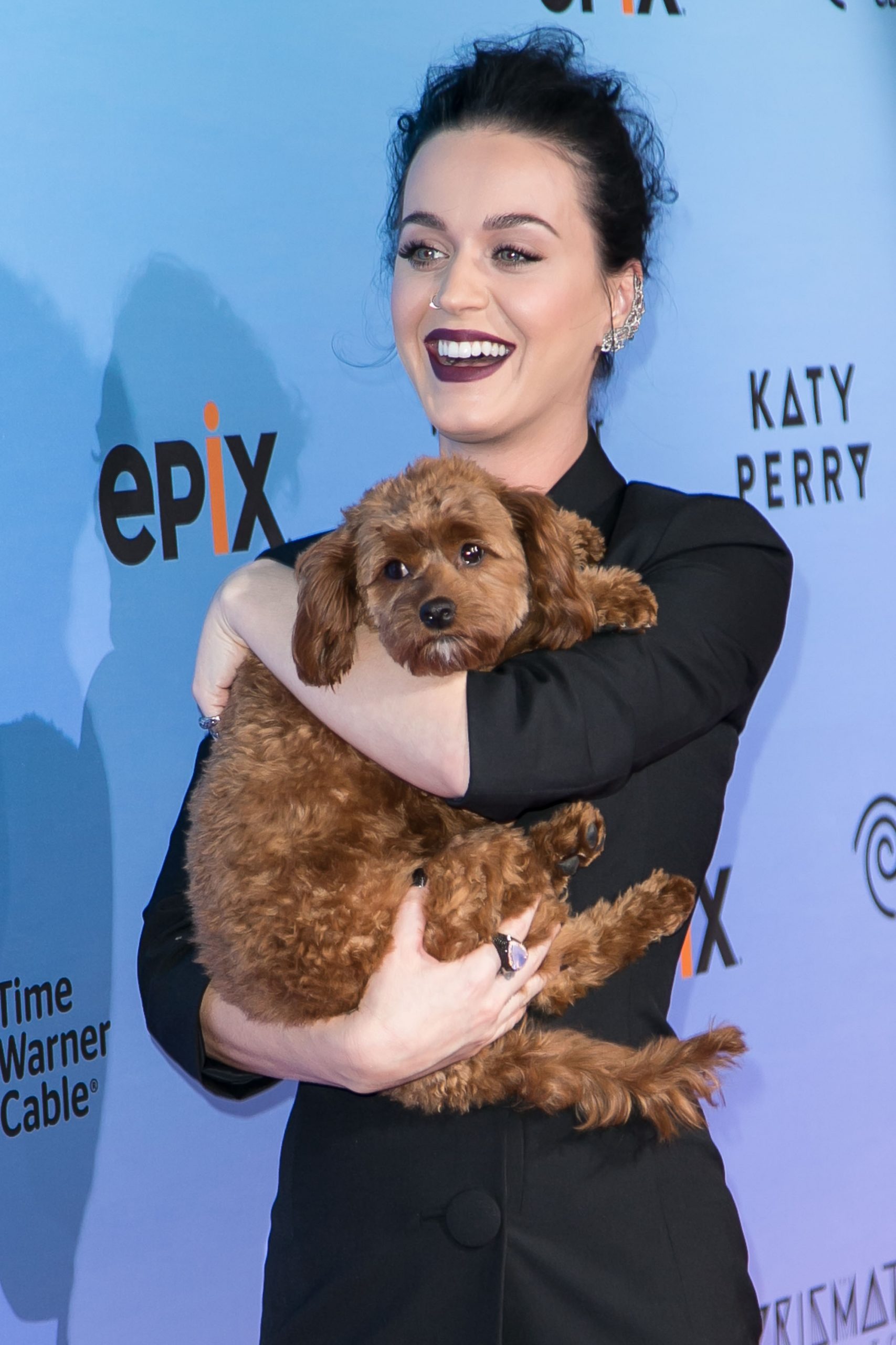 Katy Perry Admits to Being Crappy Dog Owner - The Hollywood Gossip
