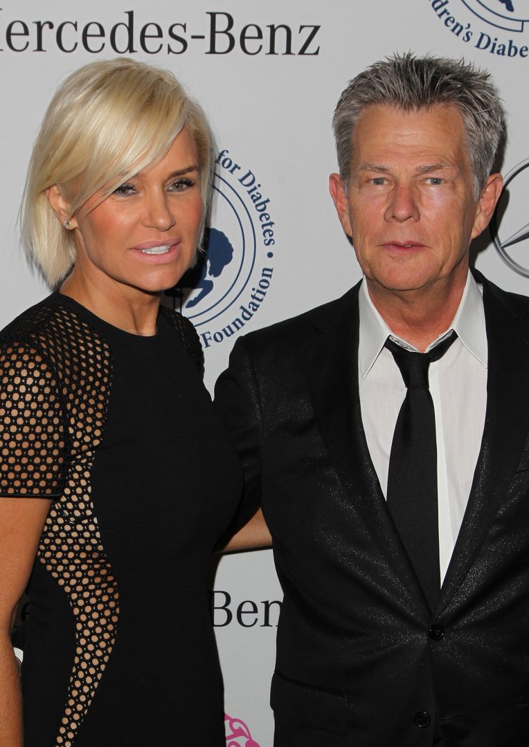 David Foster: Yolanda Foster Does NOT Have Lyme Disease! - The ...