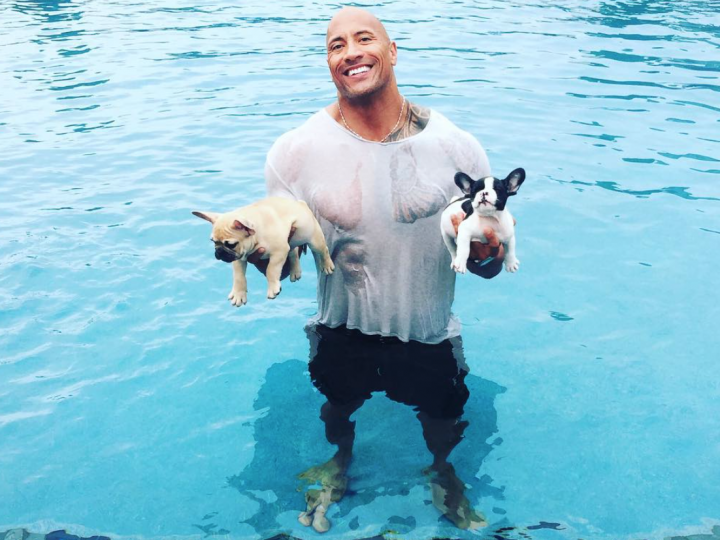 Dwayne Johnson Just Saved a Drowning Puppy - The Hollywood Gossip