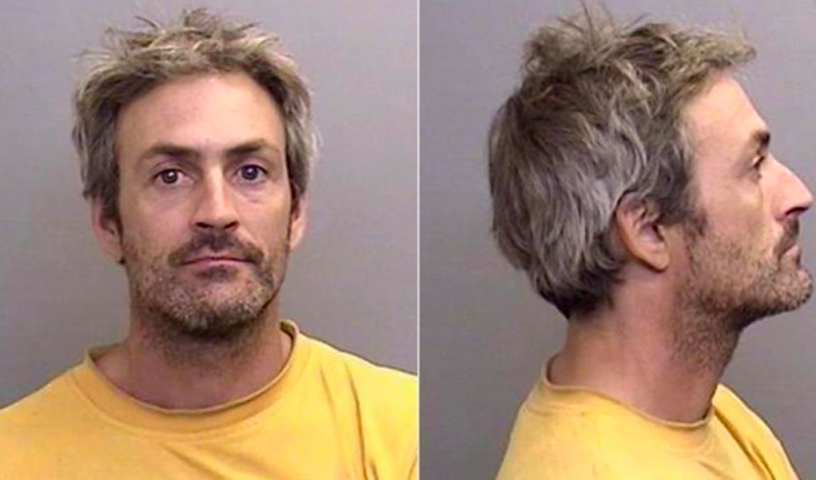 Lake Bell, Alicia Silverstone Join Fight Against Dogfighting - The ...