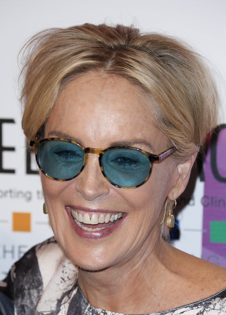 Sharon Stone Image - The Hollywood Gossip
