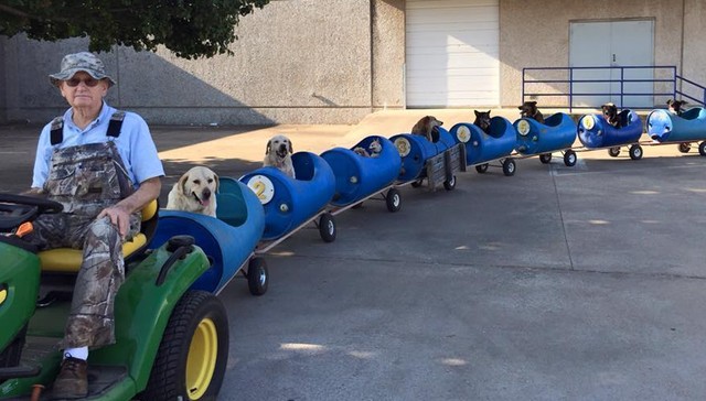 Man Rides Rescue Pets Around in Custom-Built Dog Train - The Hollywood ...