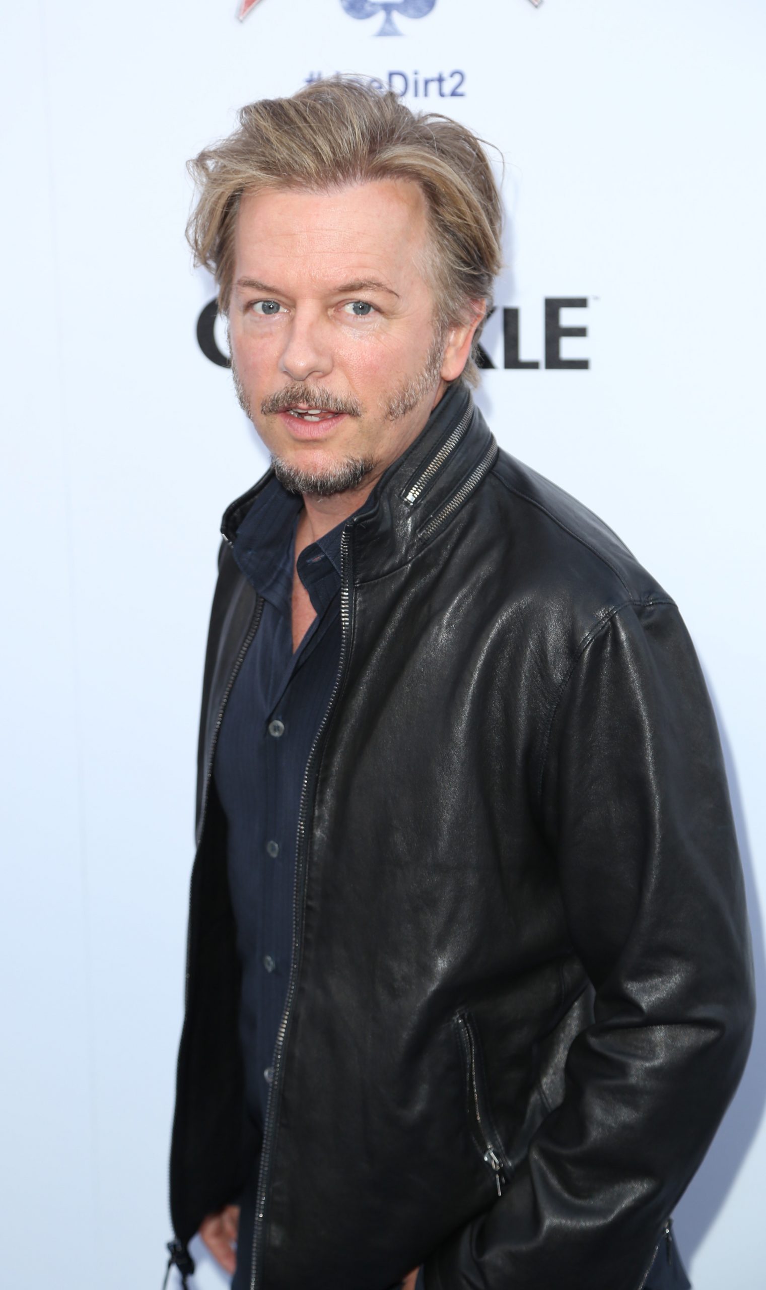 David Spade at Premiere - The Hollywood Gossip