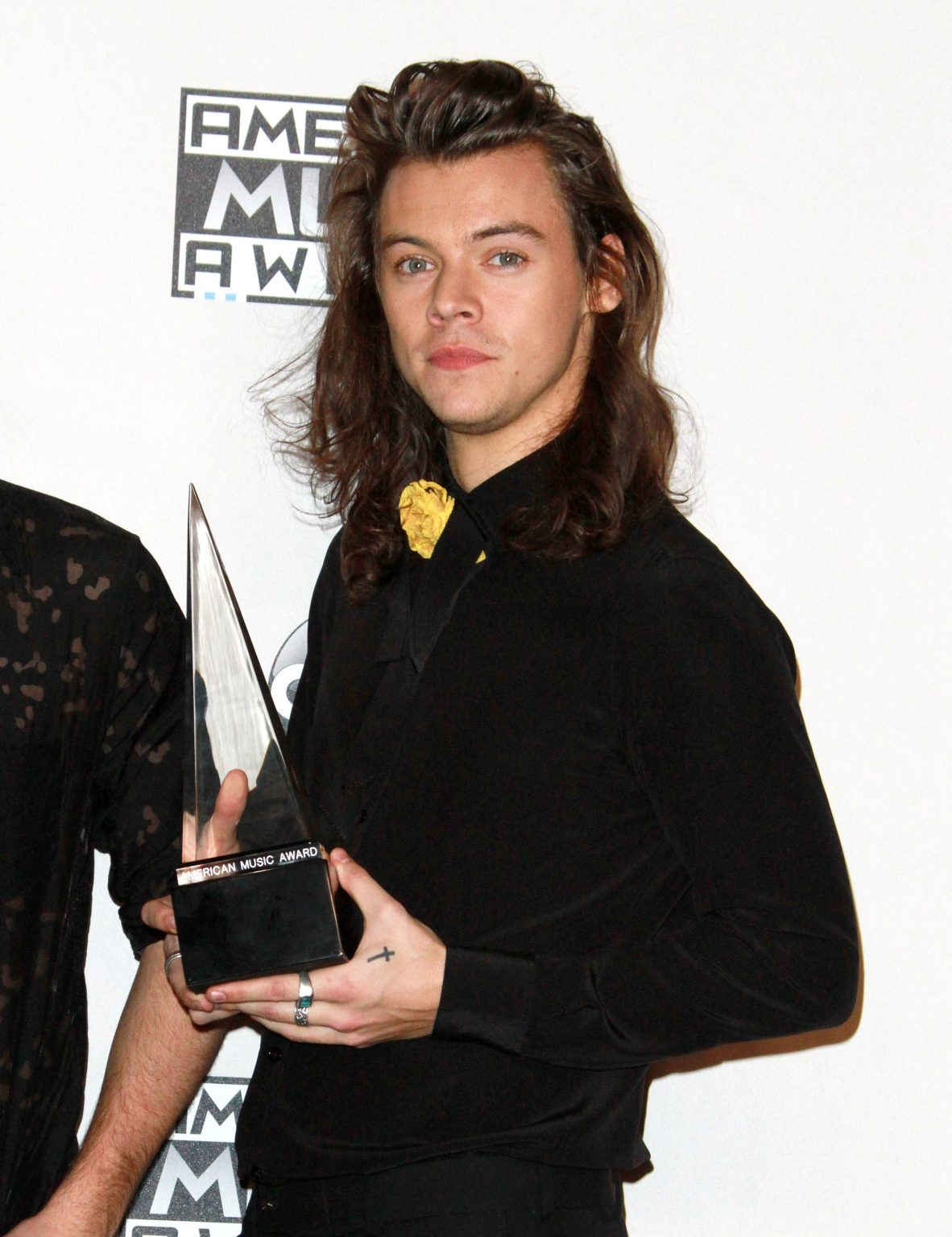 Harry Styles at the AMAs - The Hollywood Gossip