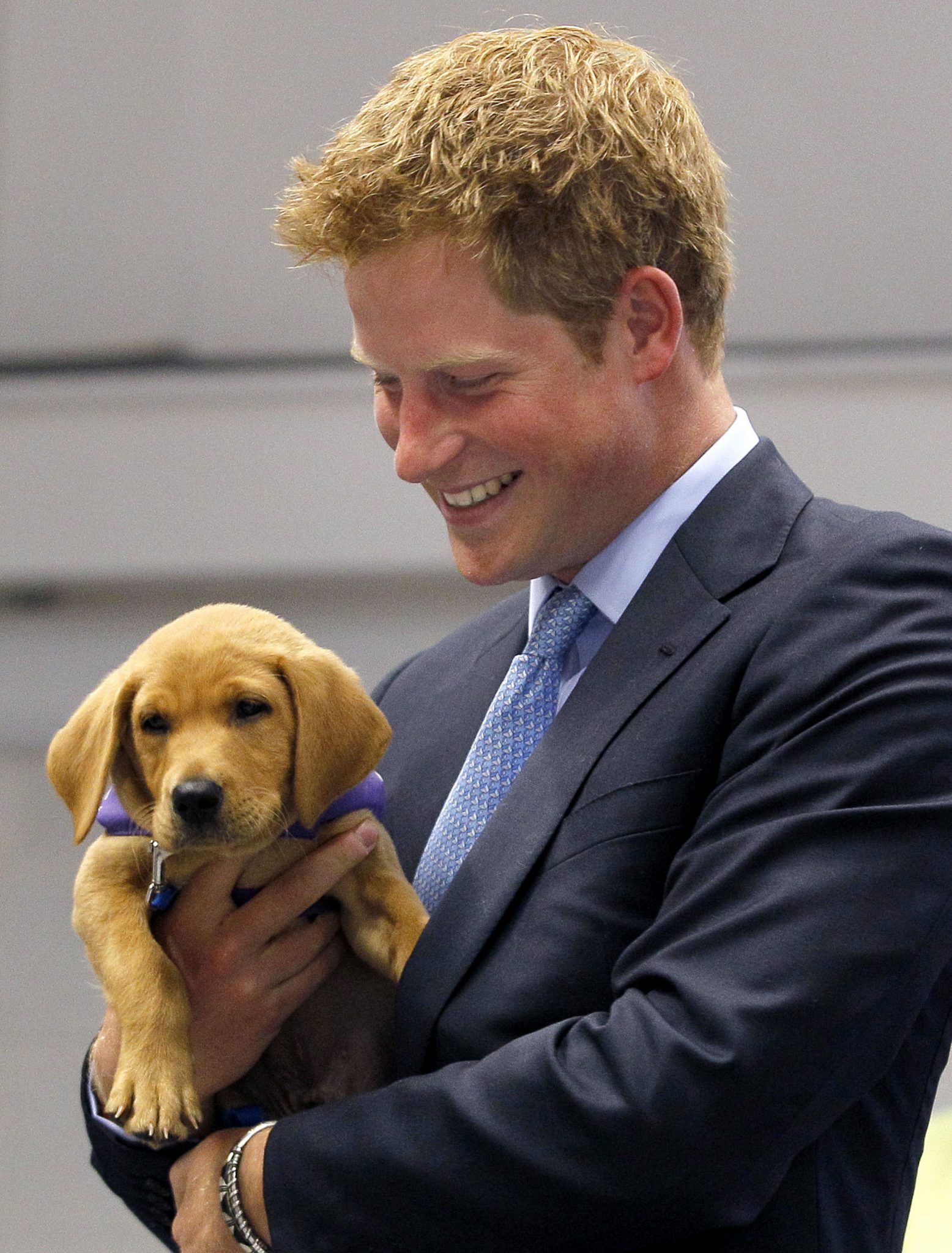 16 Times Prince Harry Made Us Royally Swoon - The Hollywood Gossip