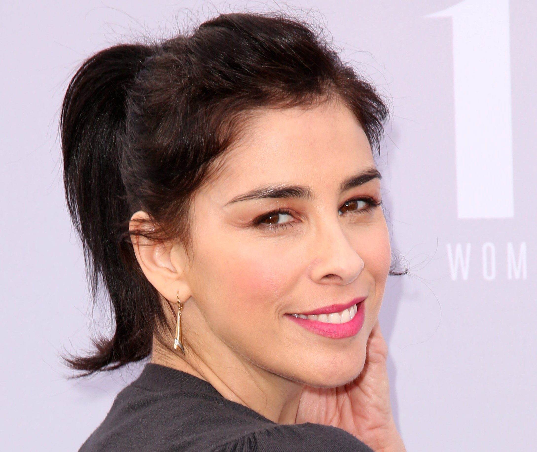 Sarah Silverman Archives - The Hollywood Gossip