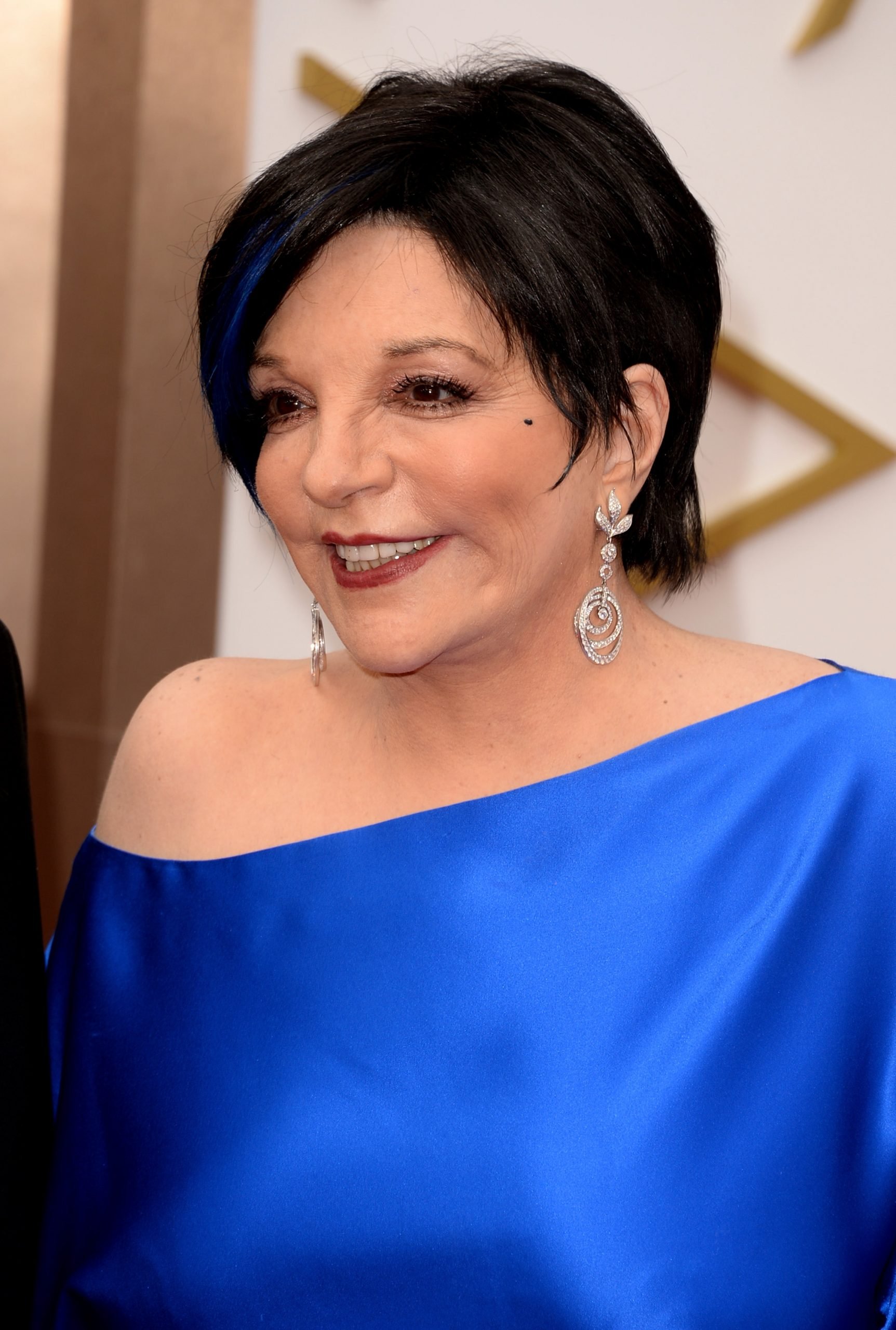 Liza Minelli Photo - The Hollywood Gossip