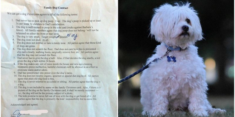 dog and contract - The Hollywood Gossip