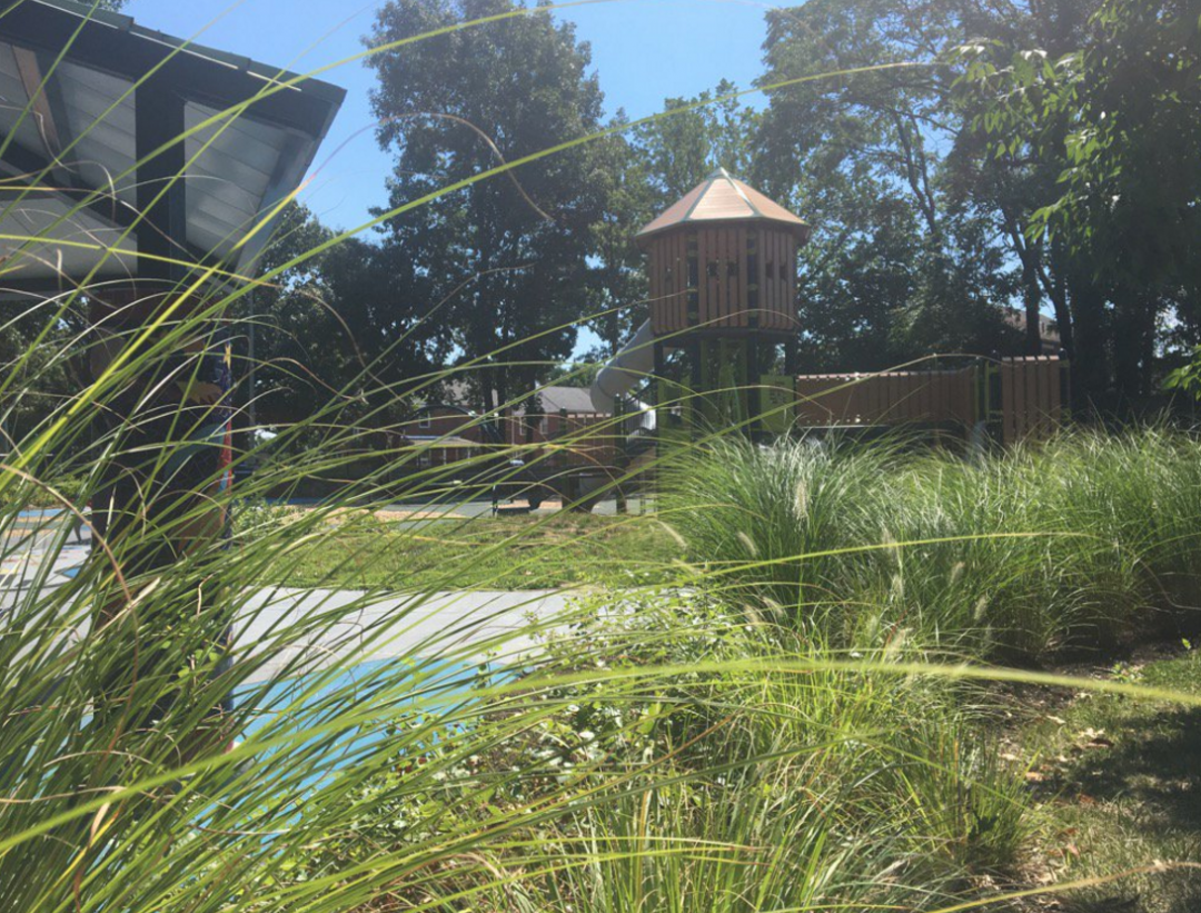 Serial Pooper Targets Playground - The Hollywood Gossip