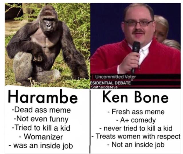 Ken Bone Meme - The Hollywood Gossip
