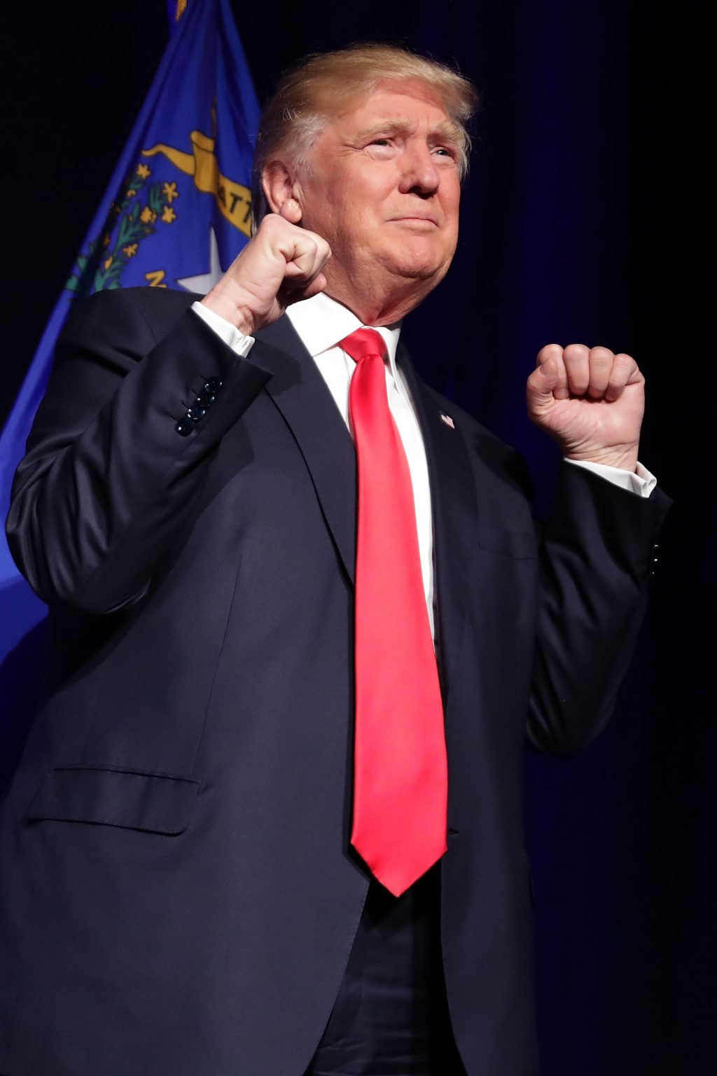 Donald Trump Elected 45th President of the United States