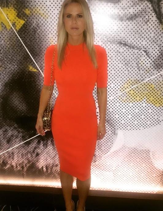 Kristin Smith Red Carpet Photo - The Hollywood Gossip