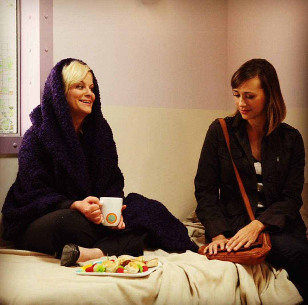 Amy Poehler and Will Arnett Announce Separation - The Hollywood Gossip