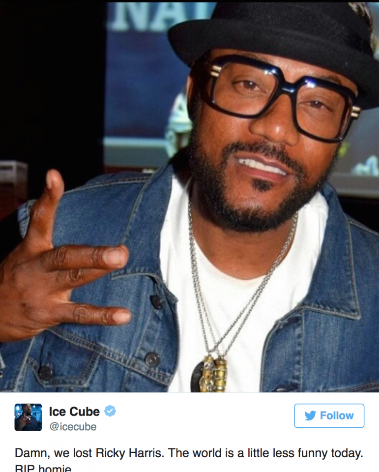Ricky Harris Dies; Veteran Comedian and Actor Was 54 - The Hollywood Gossip
