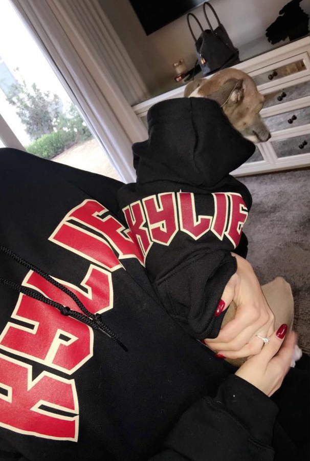 Kylie Jenner Shows Off Insane Abs, Puppies - The Hollywood Gossip