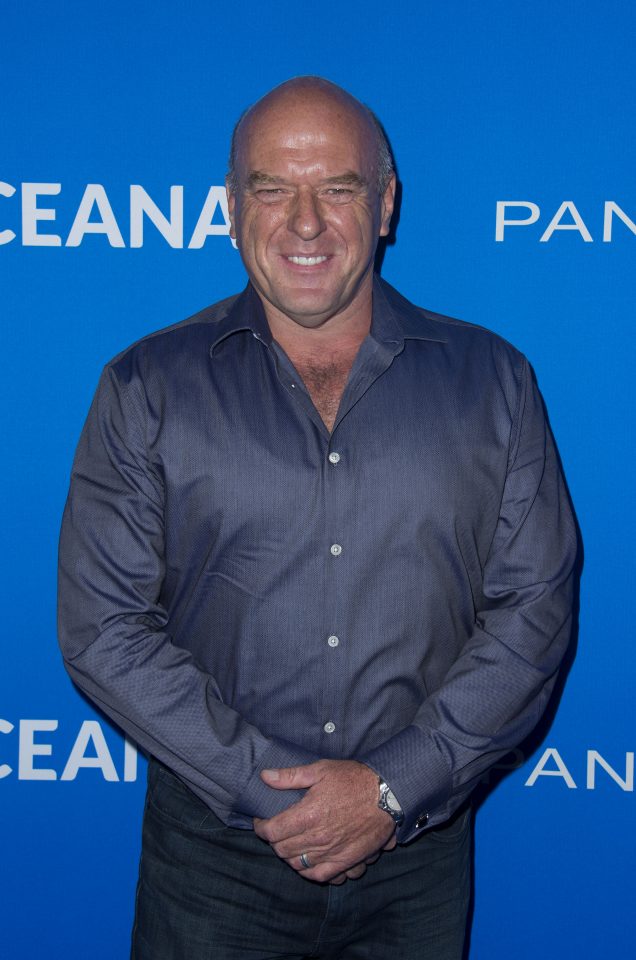 Miguel Ferrer: Mourned, Remembed by Stars Everywhere - The Hollywood Gossip