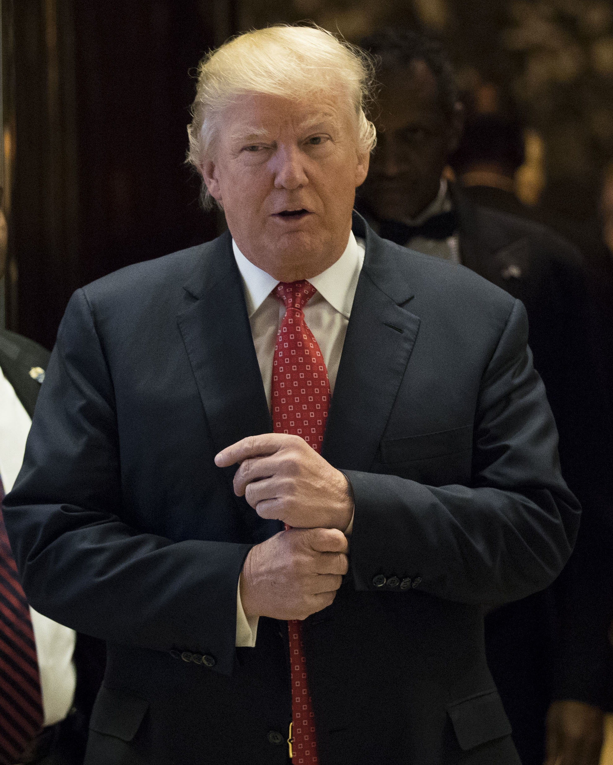 Donald Trump: A Picture - The Hollywood Gossip