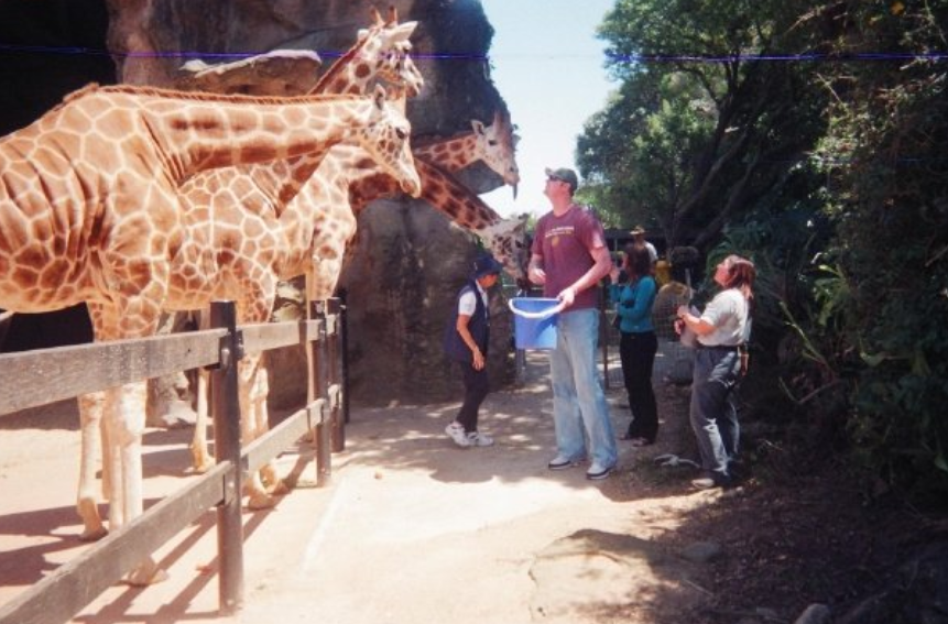 Neil Fingleton Dies: Game of Thrones Actor Was 36 - The Hollywood Gossip