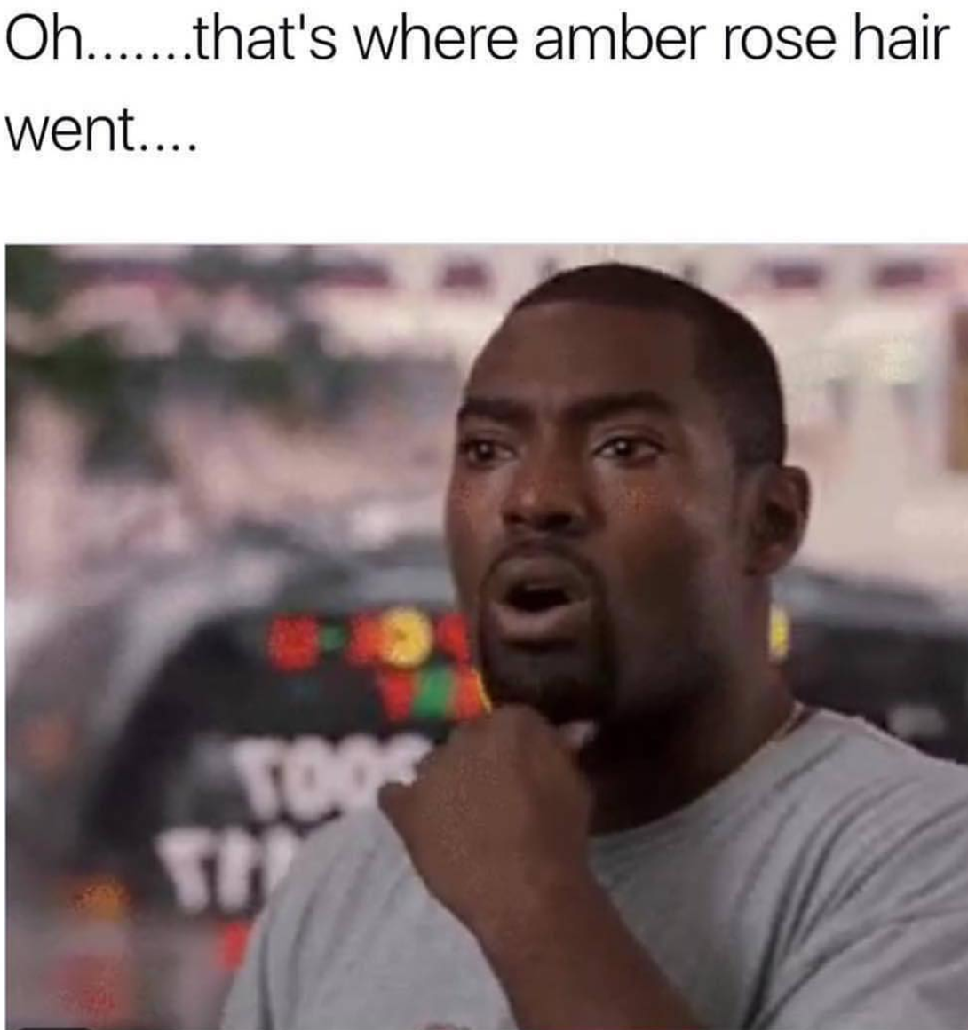 Amber Rose meme pic - The Hollywood Gossip