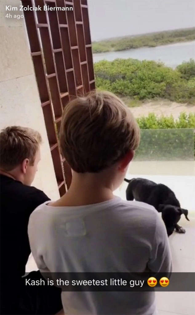 Kash Biermann and Puppy - The Hollywood Gossip